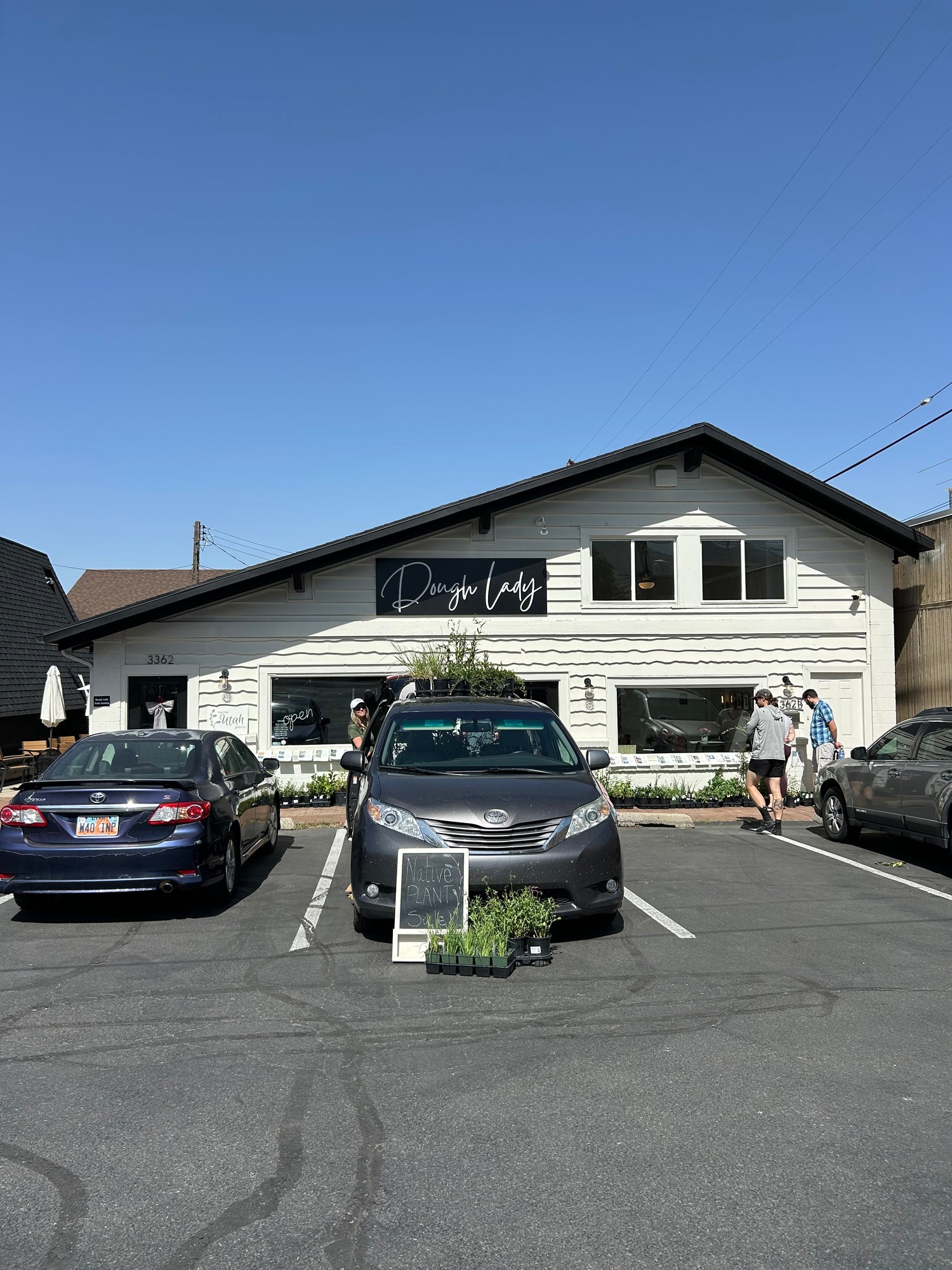 Pick-up Day – Native Utah Plants